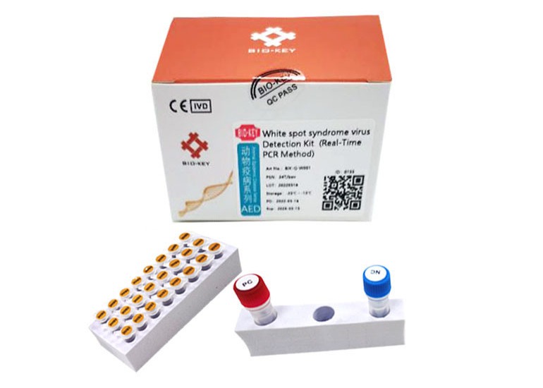 Weißflecken-Syndrom-Virus WSSV-Schnelltest-Kit